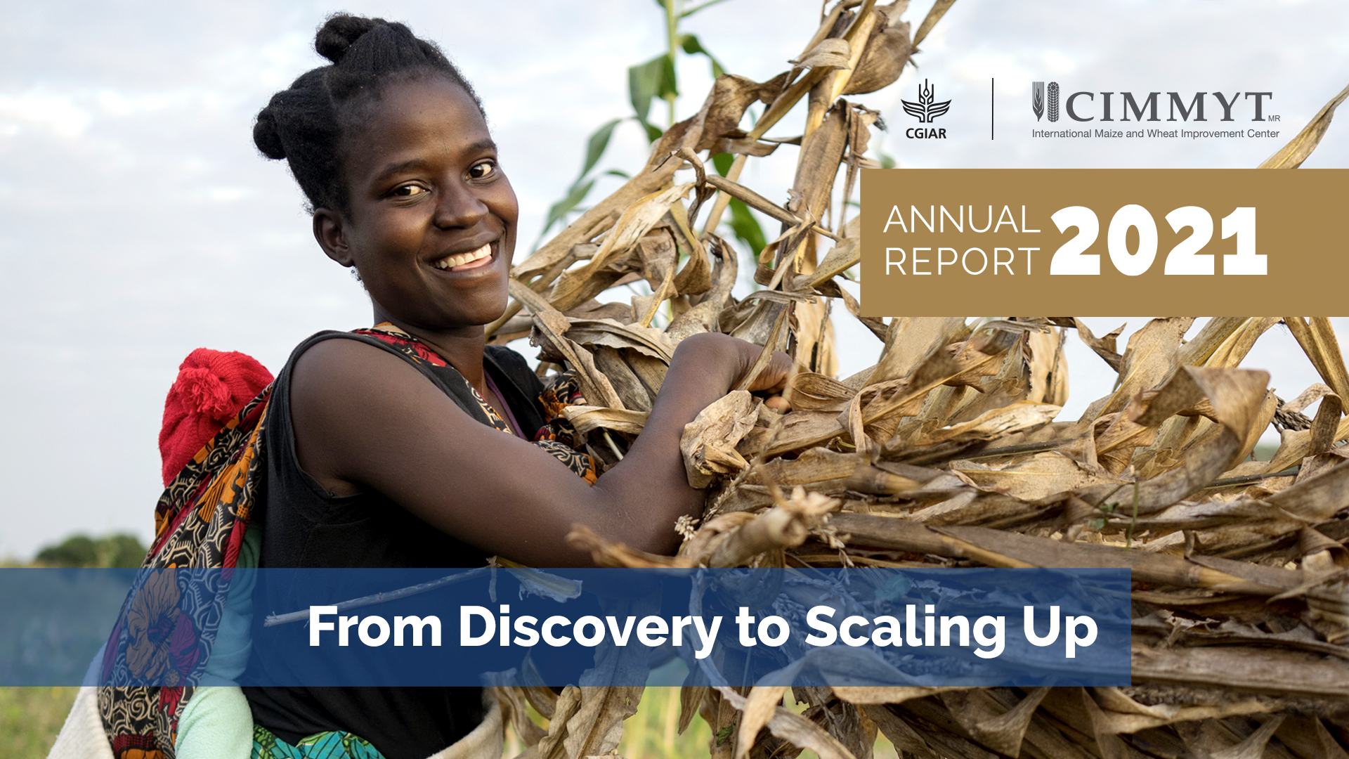 CIMMYT Annual Report 2021 – From Discovery to Scaling Up